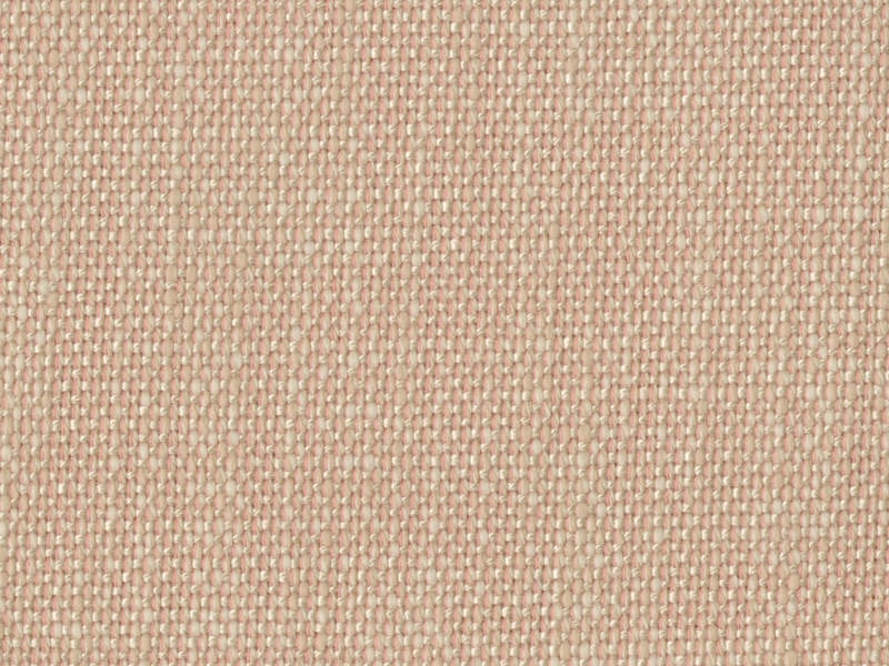 Rough 'n Rowdy | Perennials and Sutherland