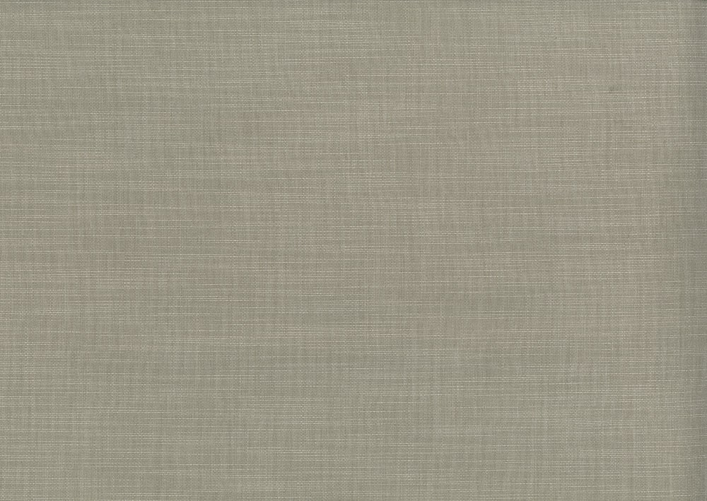 Silky | Perennials and Sutherland