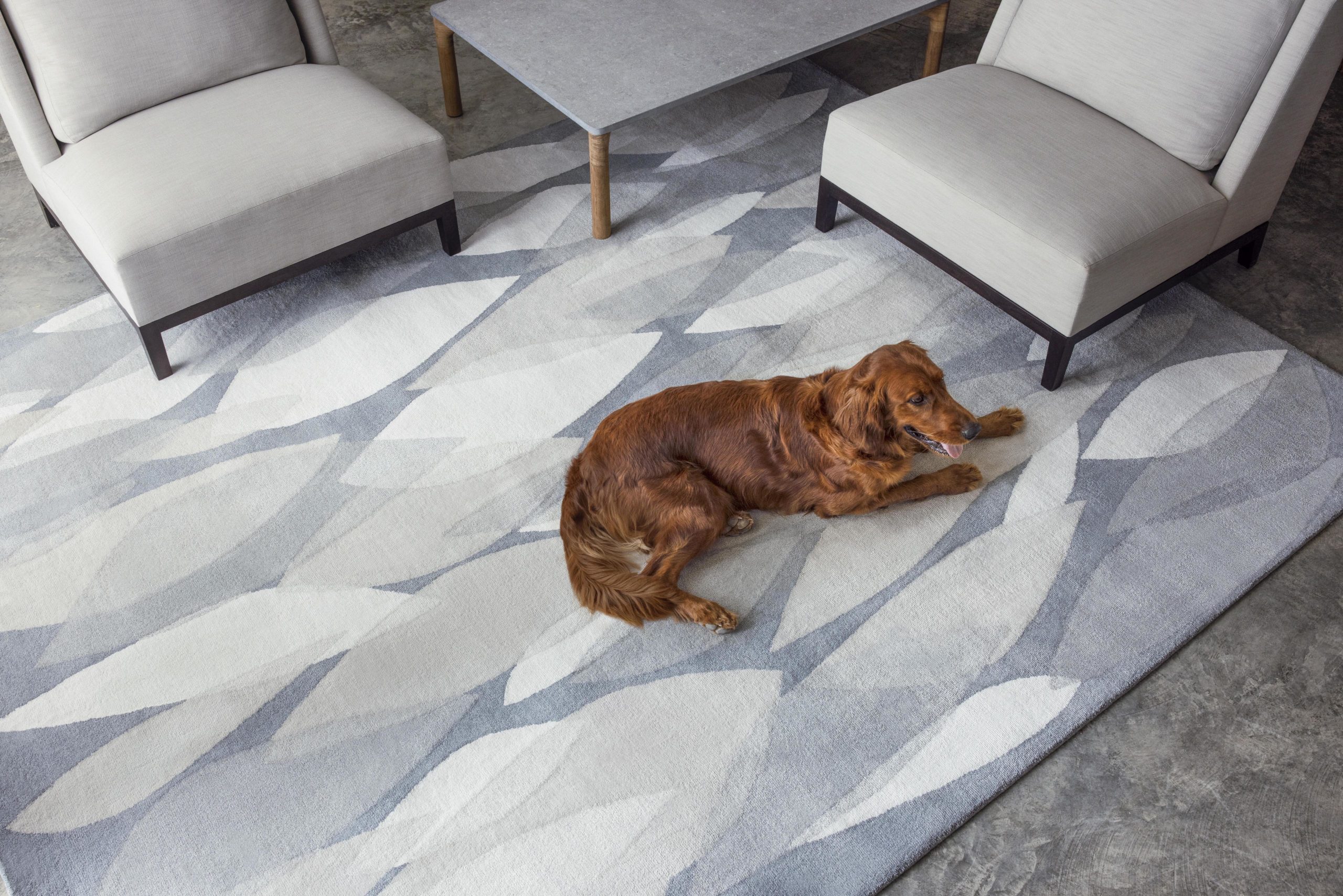 Custom Designer Rugs | Stain-Resistant Indoor and Outdoor Rugs
